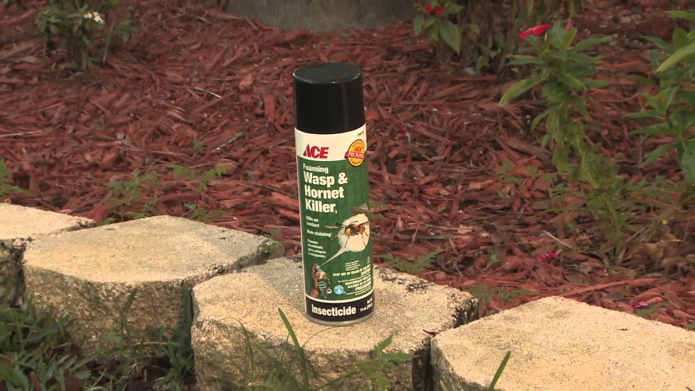 Flower, Fruit and Vegetable Insect Control Dust or Spray | Tools ...
